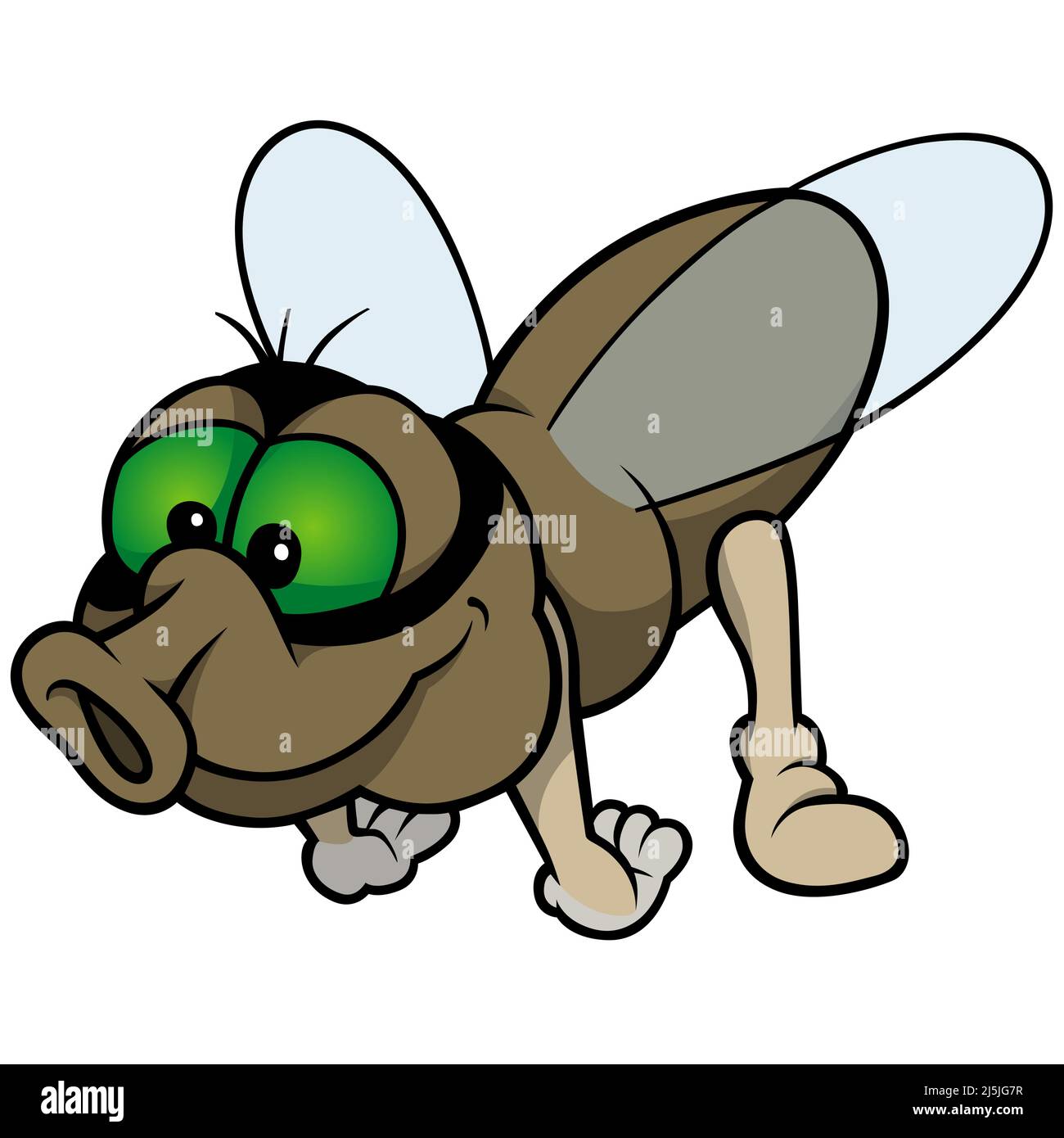 Cartoon illustration funny fly housefly Cut Out Stock Images & Pictures ...