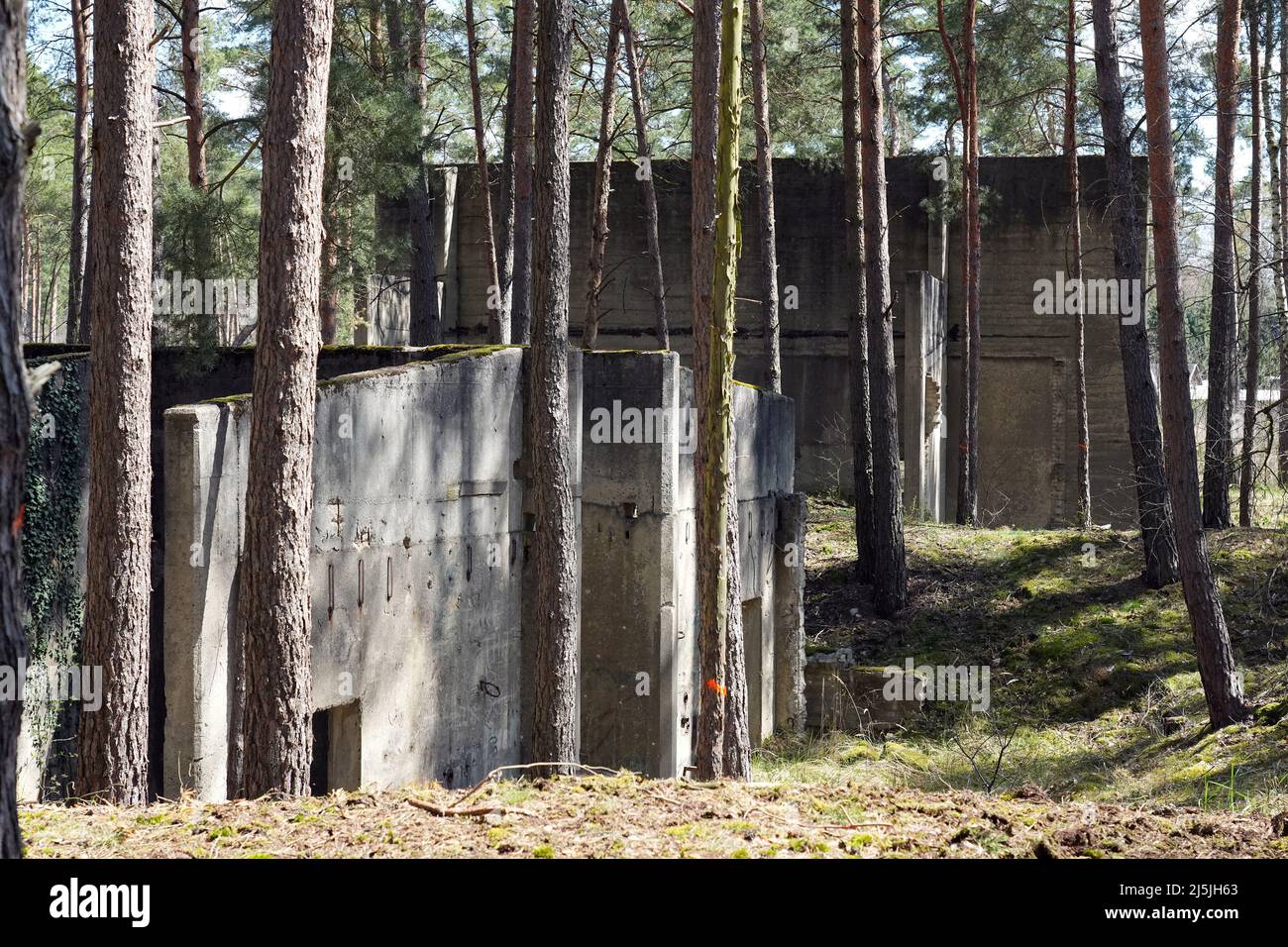 23 April 2022, Brandenburg, Schlieben: Ruins stand in the woods on the ...