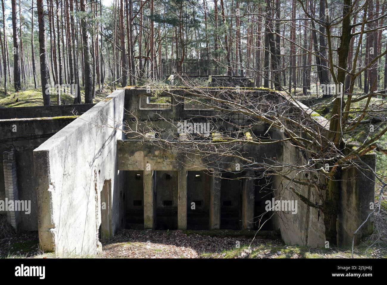23 April 2022, Brandenburg, Schlieben: Ruins stand in the woods on the ...