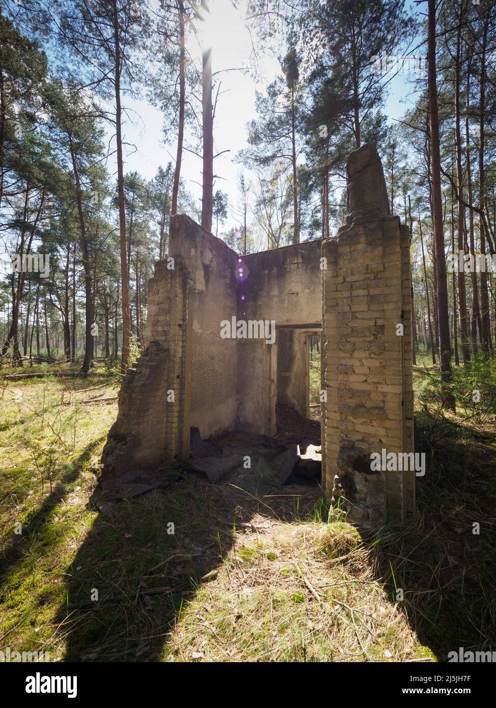 23 April 2022, Brandenburg, Schlieben: A ruin stands in the woods on ...