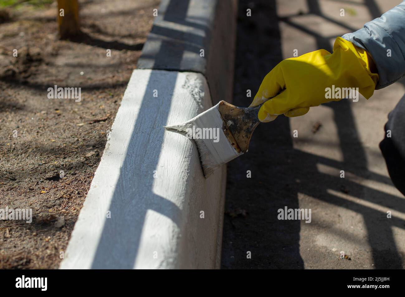 Paints the kerb with white paint. Brush with paint for the road curb ...