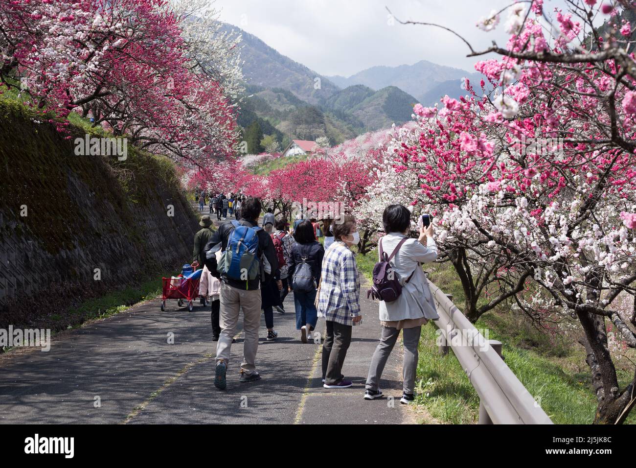 achi village, nagano, japan, 2022/23/04 , Achi-mura village in Nagano ...