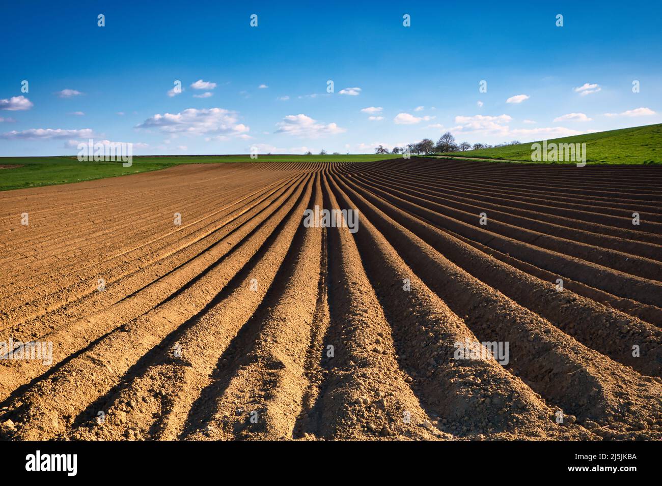 Monoculture farming hi-res stock photography and images - Alamy