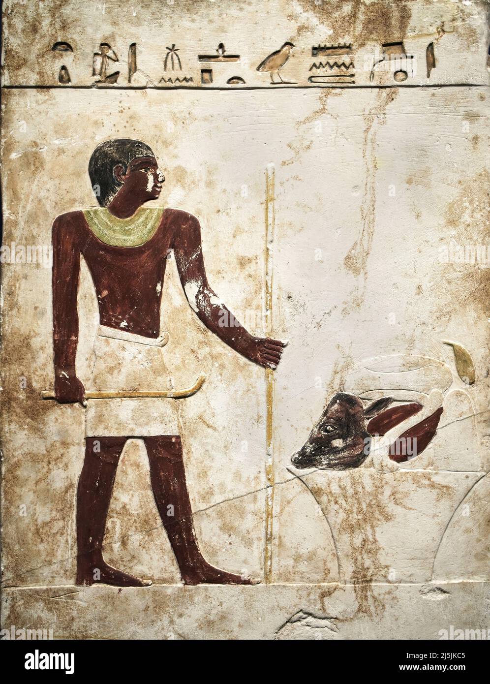 An ancient Egyptian drawing of a priest and a bull's head. An ancient ...