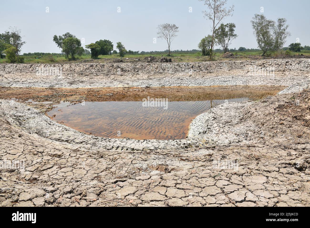 dry land on paddy filled and pool with less water in summer Stock Photo ...