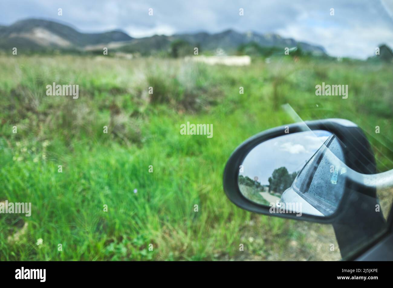 detail of a view of a rearview mirror of a car in a green grass field ...