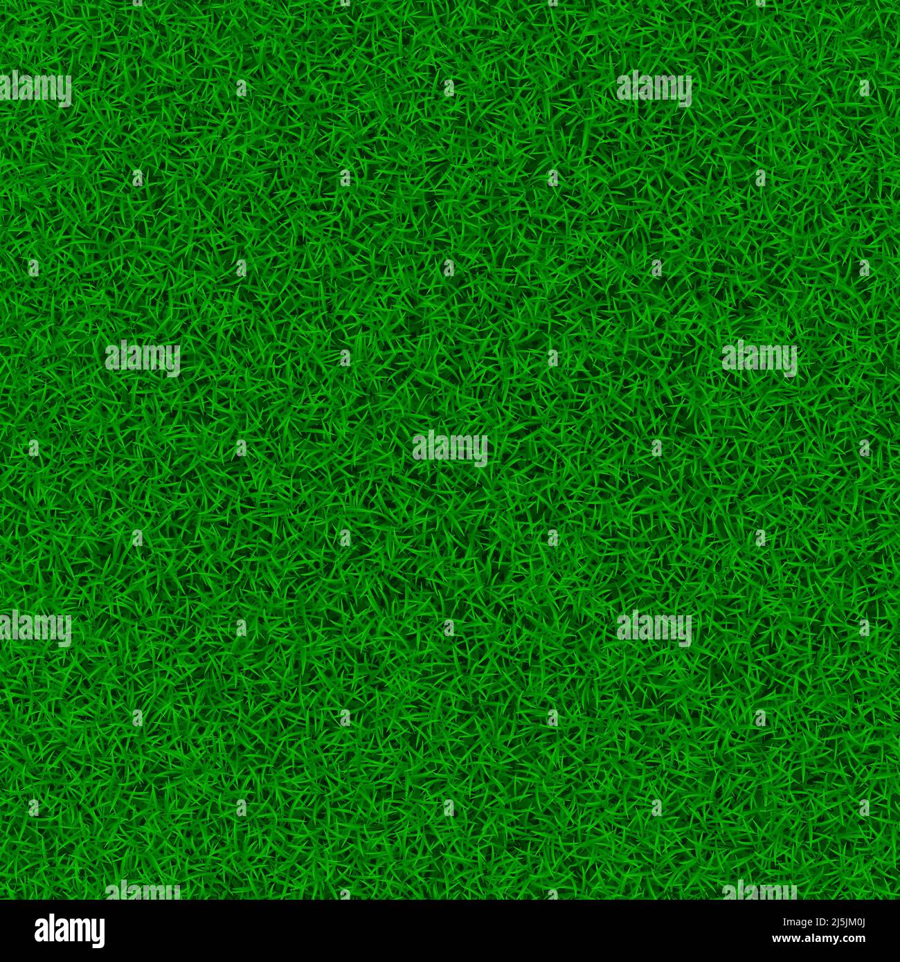 Green grass vector illustration Stock Vector Image & Art - Alamy