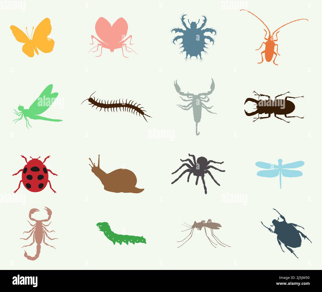 Colorful various insects and bugs vector icon set Stock Vector Image ...