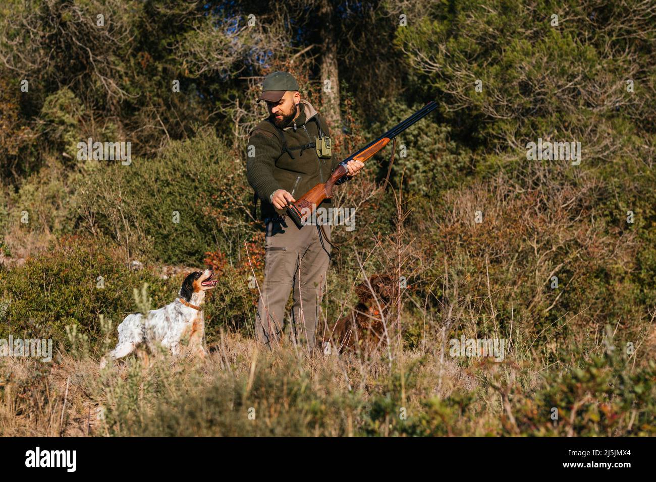 Male hunter hunting with his hunting dog outdoors Stock Photo - Alamy