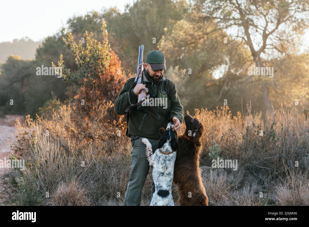Hunter with his shotgun on shoulder petting his two dogs in nature ...