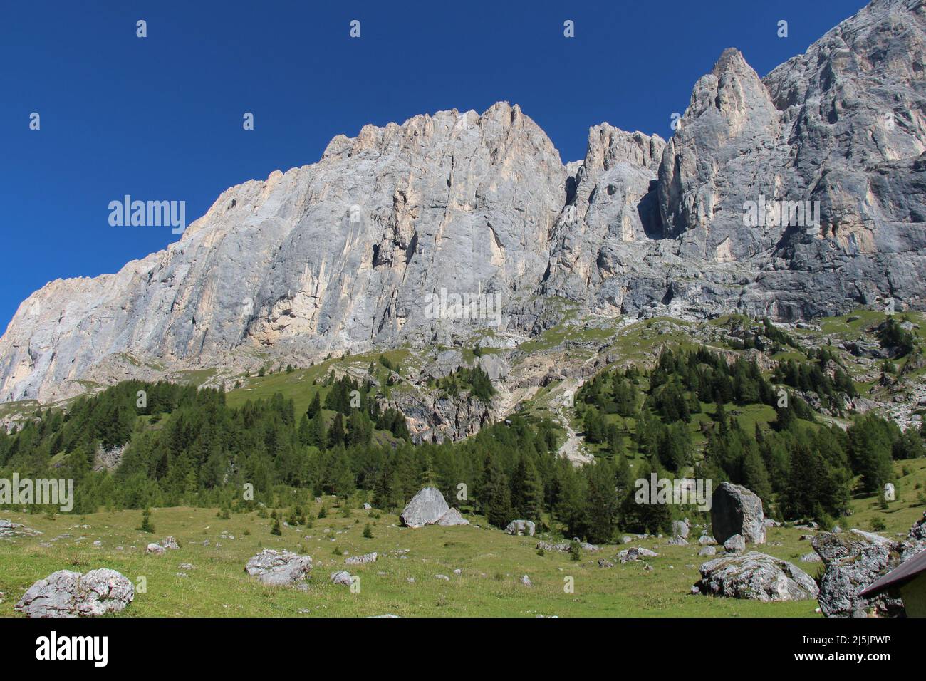 The view of a mountain massif and green forest at foothills in a sunny ...