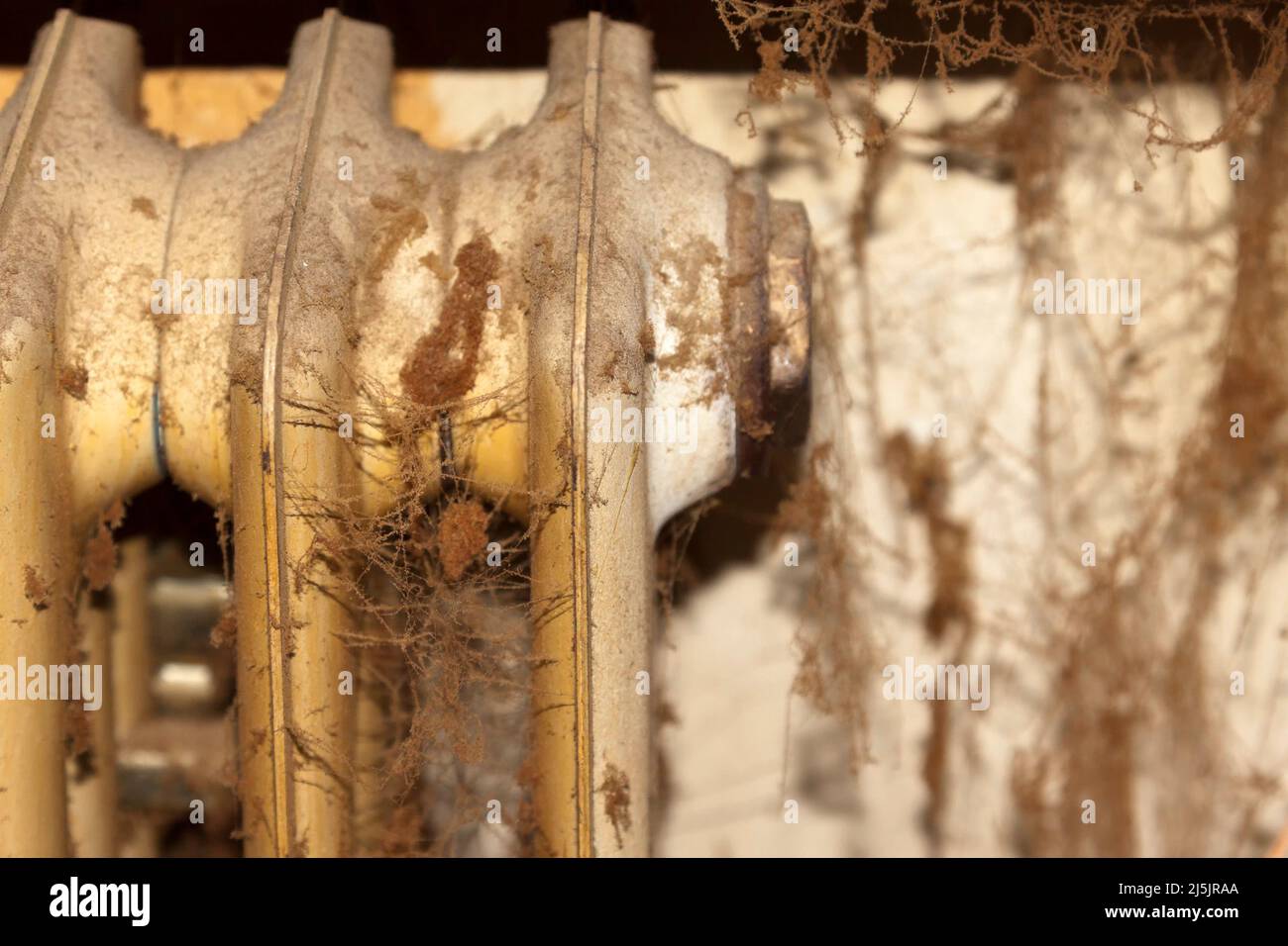 Natural gas germany house hi-res stock photography and images - Alamy