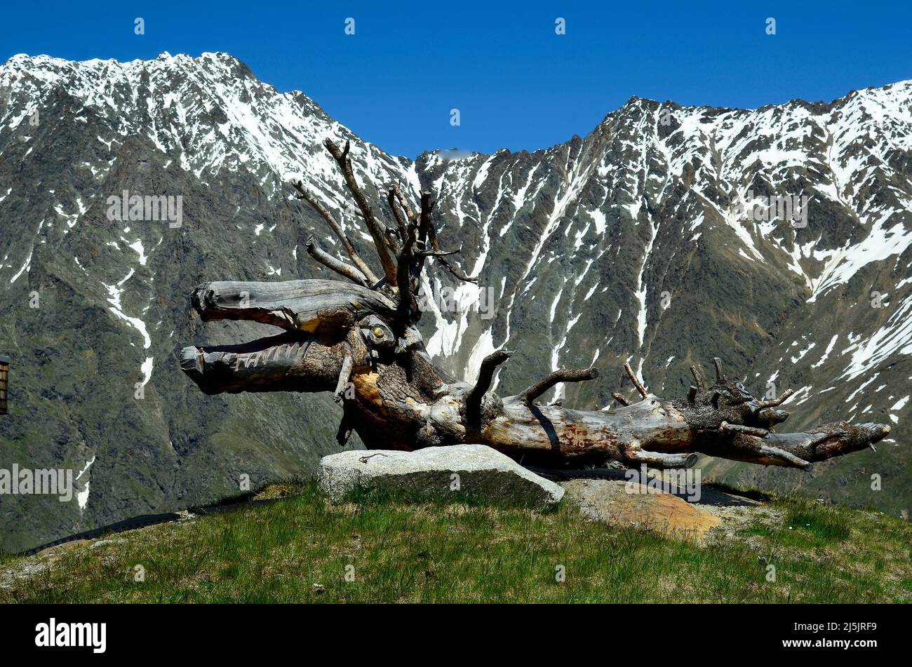Austria, Tirol, funny sculpture made from tree stump in Austrian alps ...