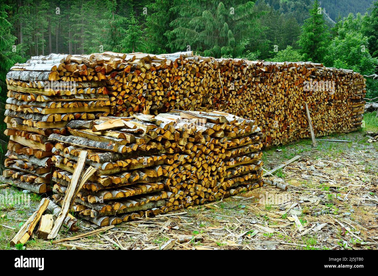 Austria, Tyrol, pile of wood Stock Photo - Alamy