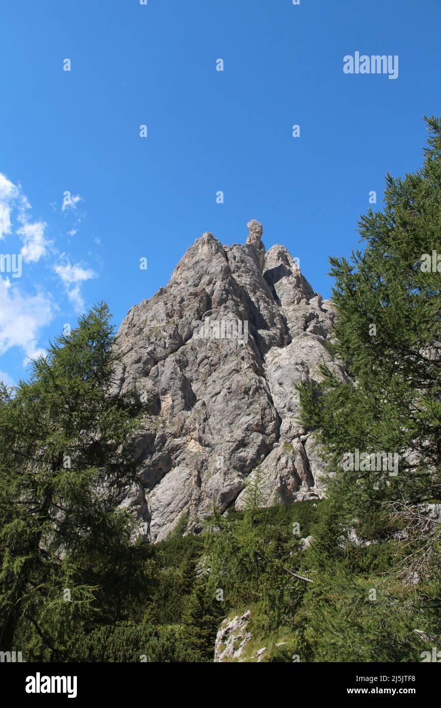 The view of Fungo di Ombretta seeing between fir trees with blue sky on ...
