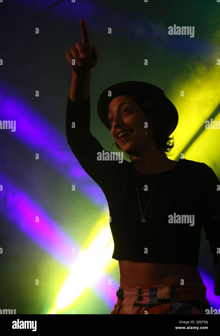 Singer On Stage Crowd