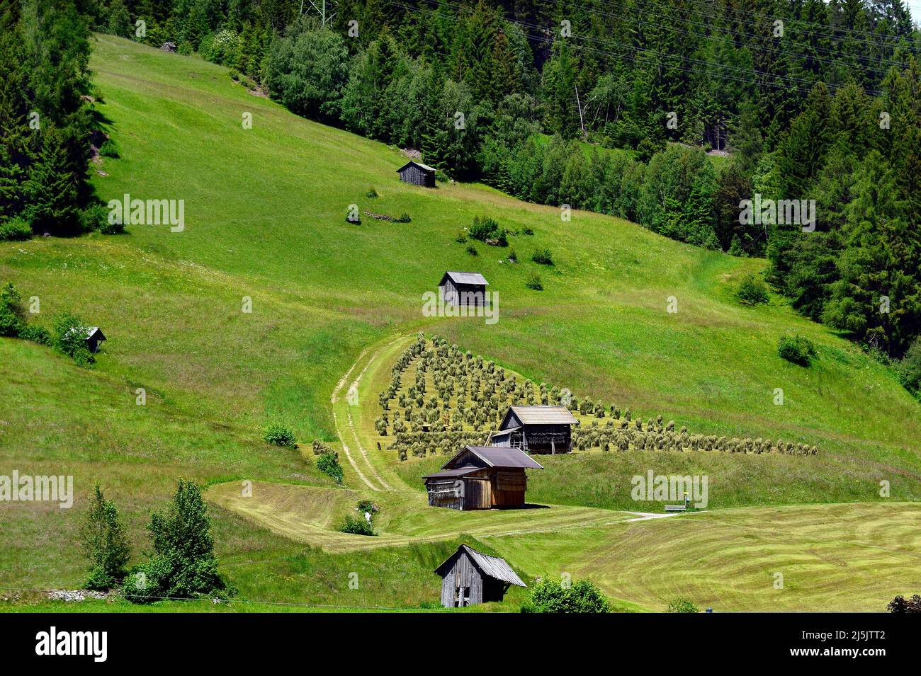 Tirol agriculture hi-res stock photography and images - Alamy