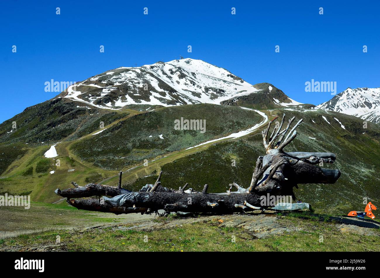 Austria, Tirol, playground with funny sculpture made from tree stump in ...