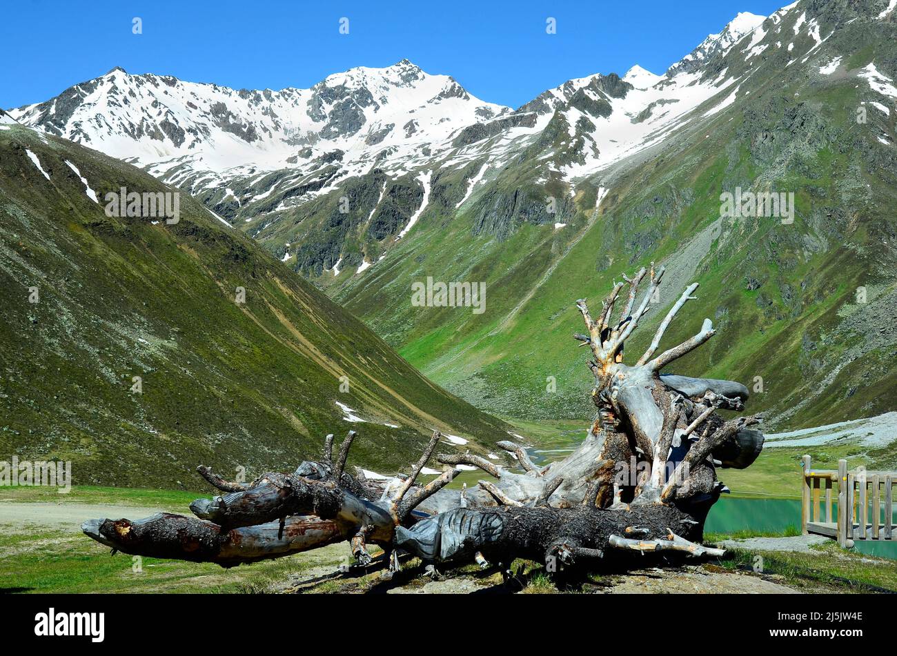 Austria, Tirol, funny sculptur made from tree stump and mountains with ...