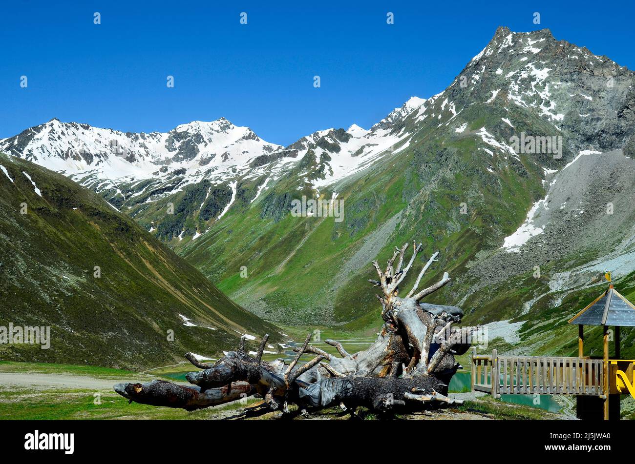 Austria, Tirol, playground with funny sculpture made from tree stump in ...
