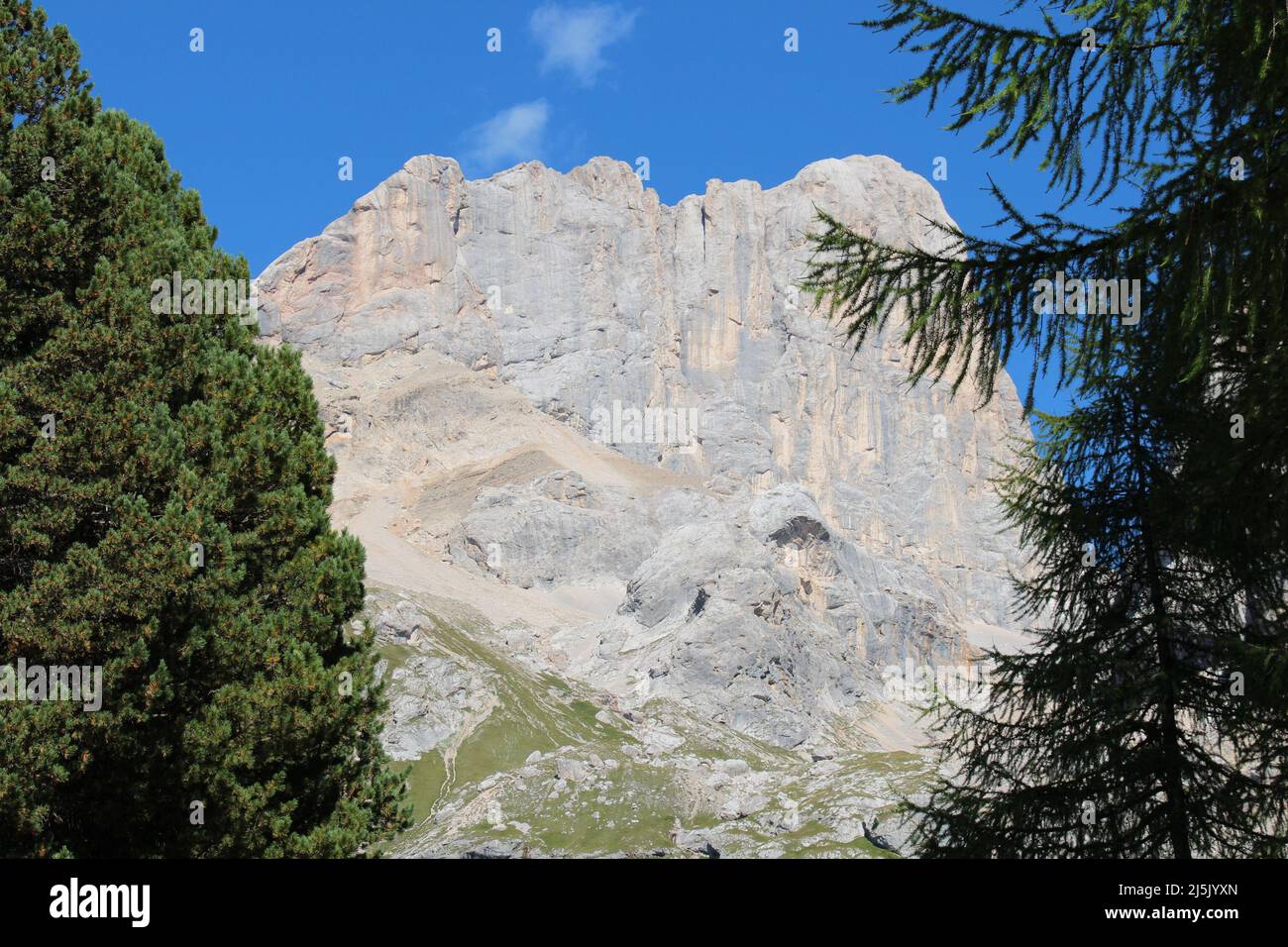 The view of a mountain massif through green forest in a sunny day. Val ...