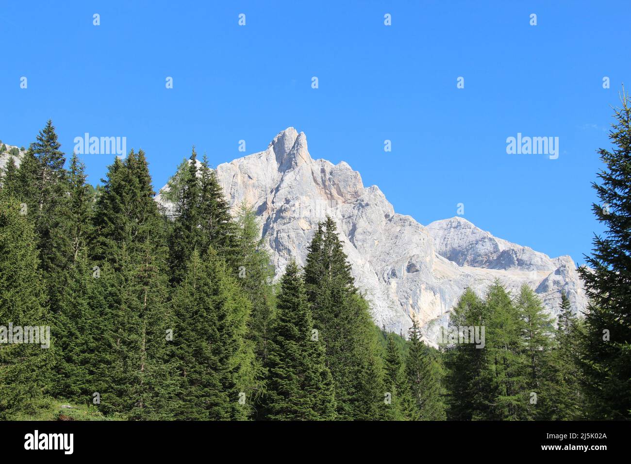 The view of a mountain massif through green forest in a sunny day. Val ...