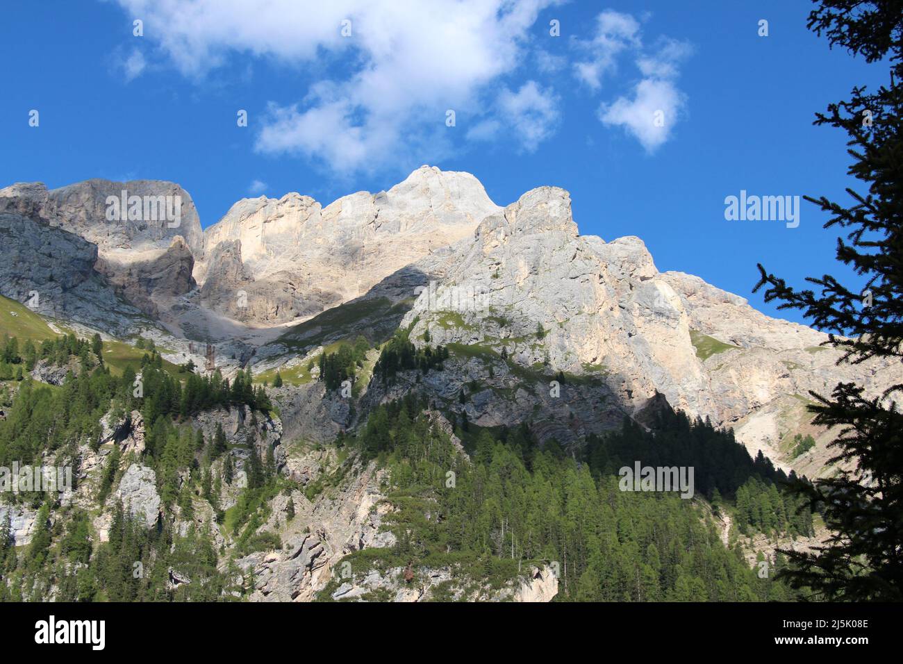 The view of a mountain massif through green forest in a sunny day. Val ...