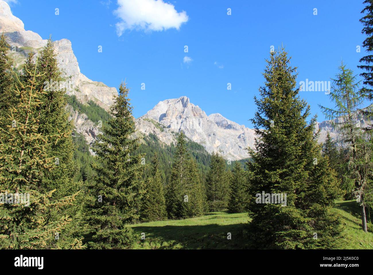 The view of a mountain massif through green forest in a sunny day. Val ...