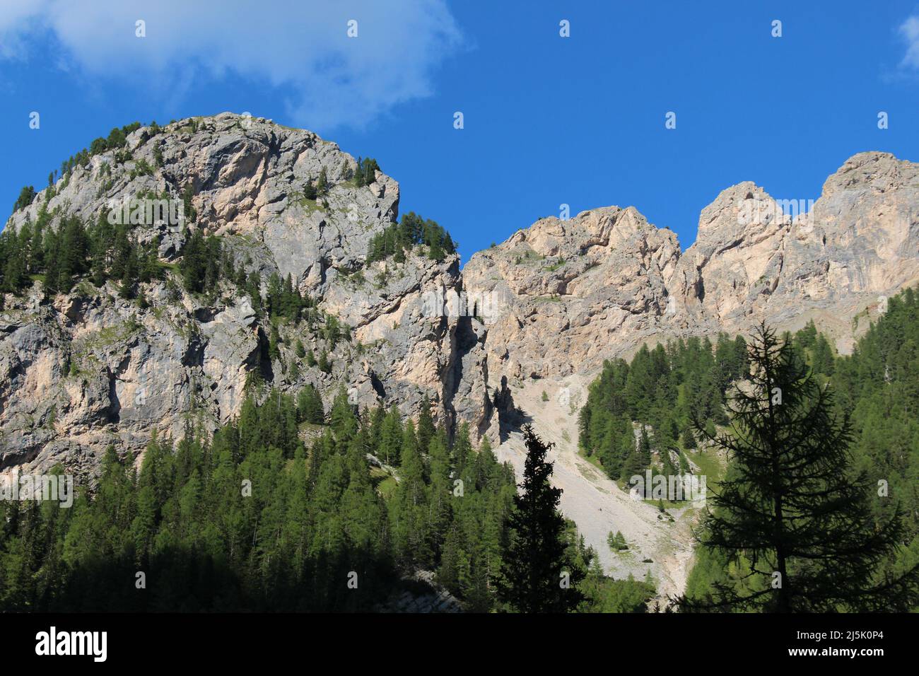 The view of a mountain massif through green forest in a sunny day. Val ...