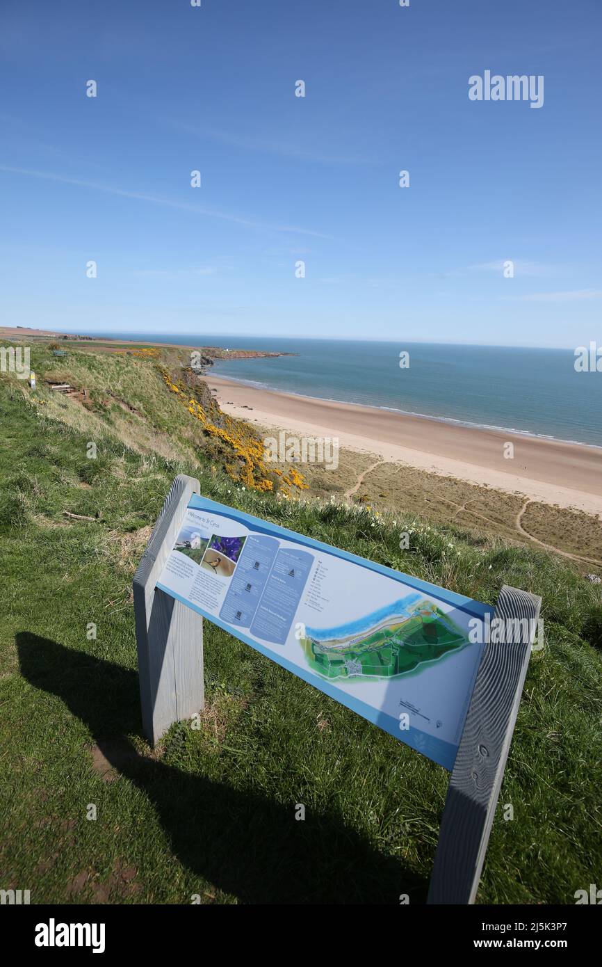 St Cyrus Beach & Cliffs, Aberdeenshire, Scotland, UK. formerly known as ...
