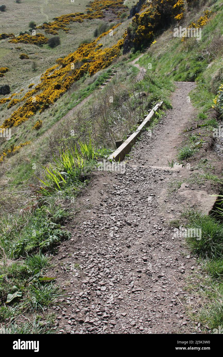 St Cyrus Beach & Cliffs, Aberdeenshire, Scotland, UK. formerly known as ...