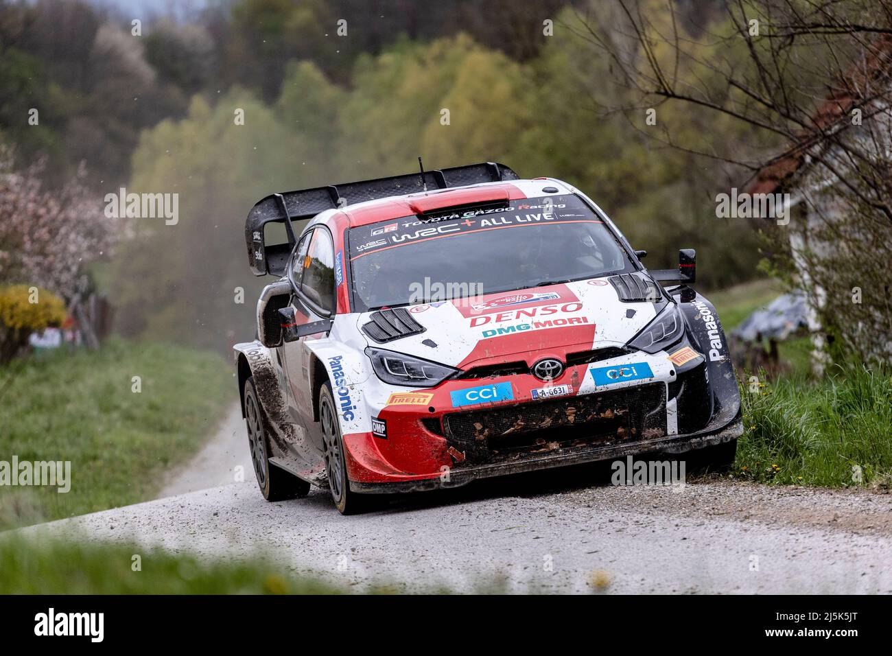 33 EVANS Elfyn (gbr), MARTIN Scott (gbr), Toyota Gazoo Racing WRT, Toyota GR Yaris Rally 1 ...