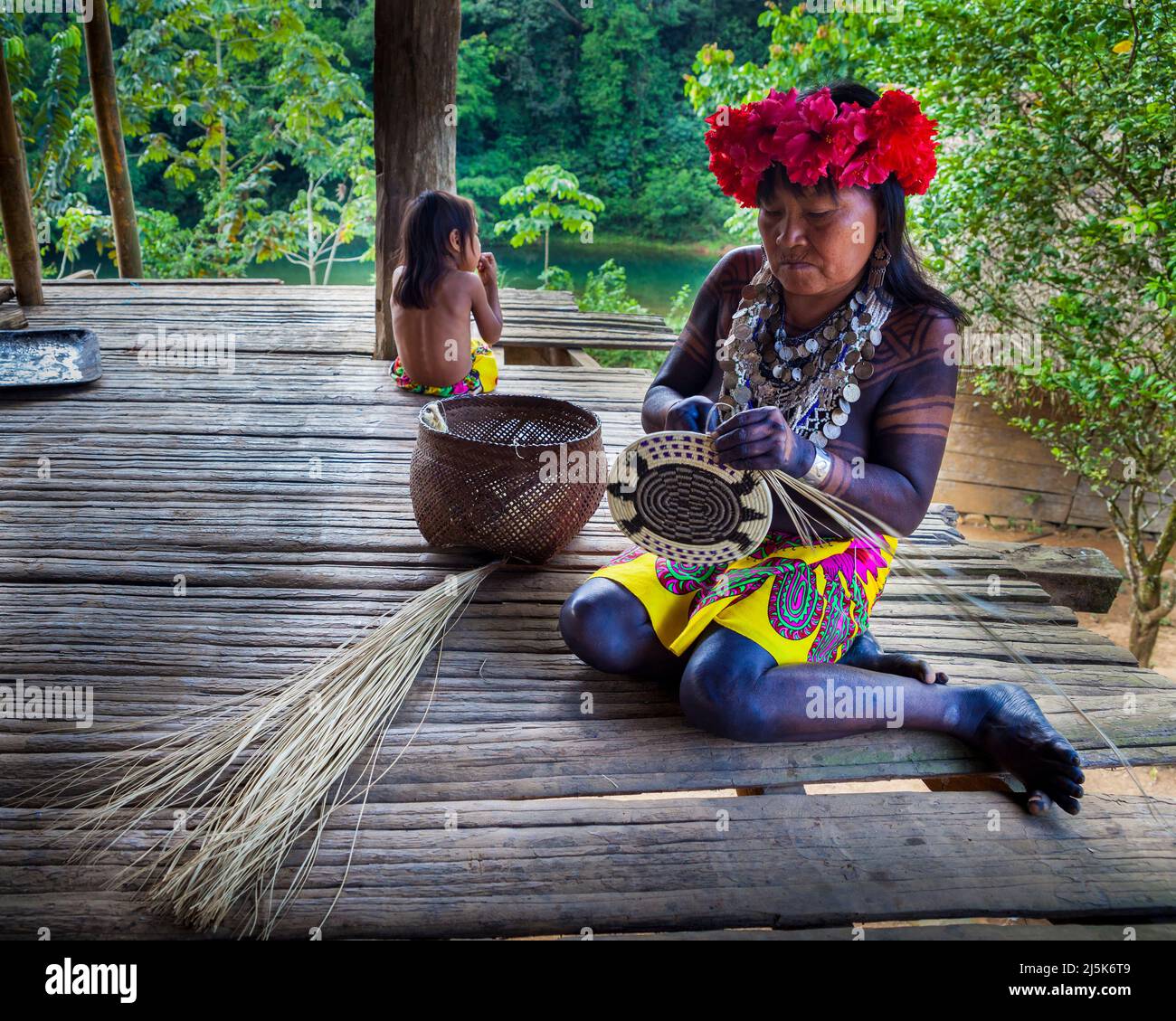 An Embera Puru indian woman is weaving a dish in the Embera Puru ...