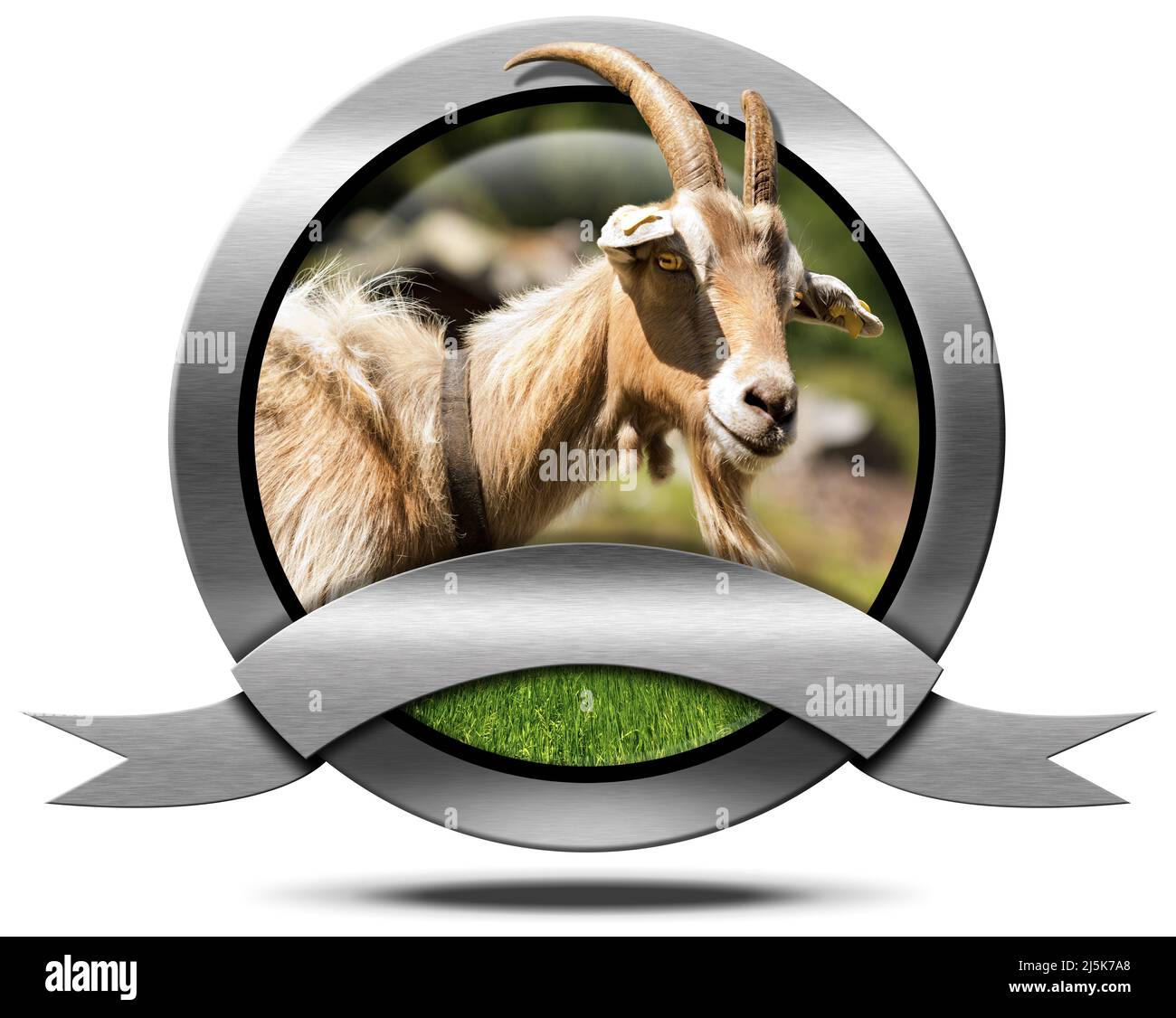 Female goat logo hi-res stock photography and images - Alamy