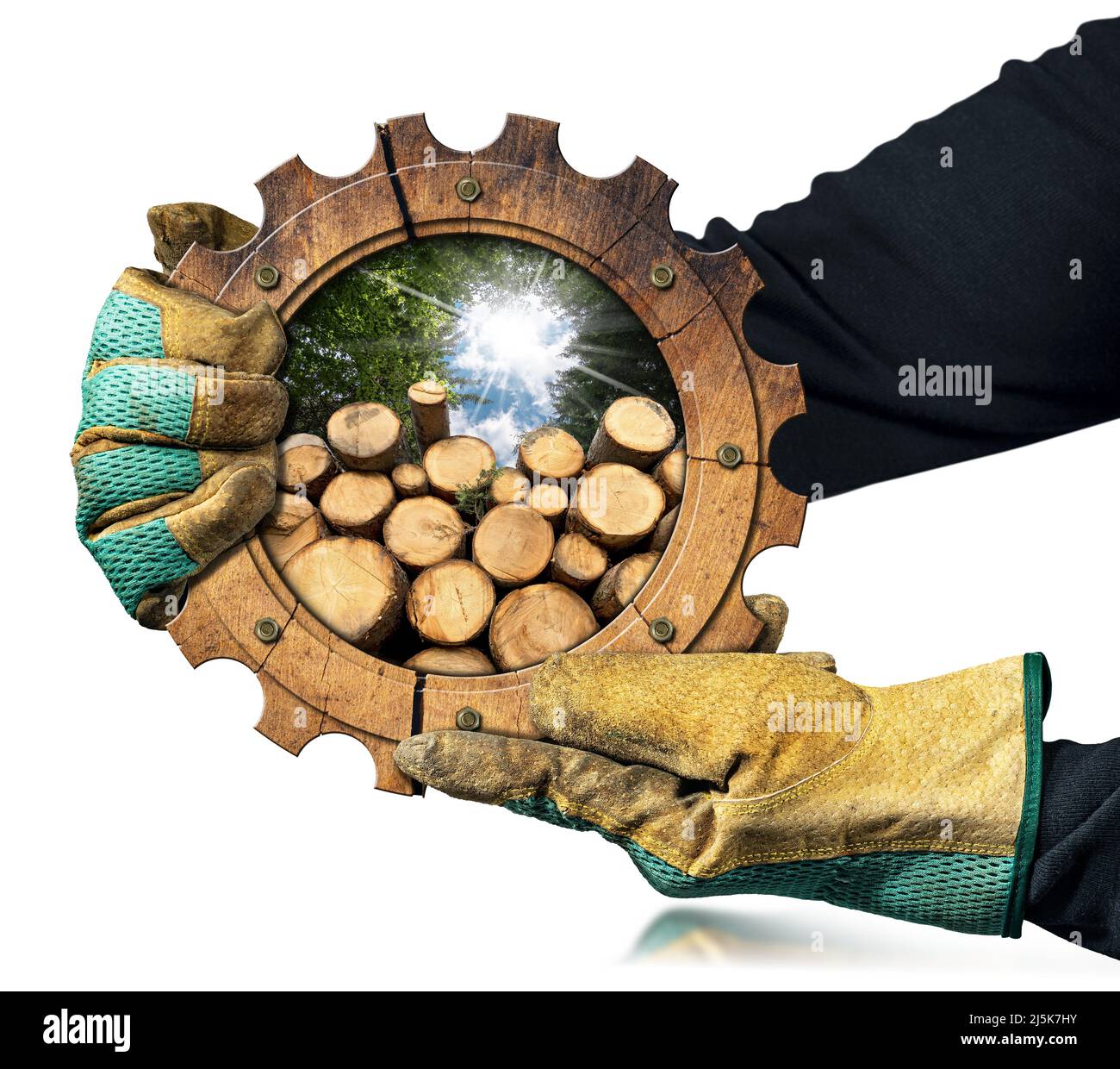 Pile of tree trunks Cut Out Stock Images & Pictures - Alamy