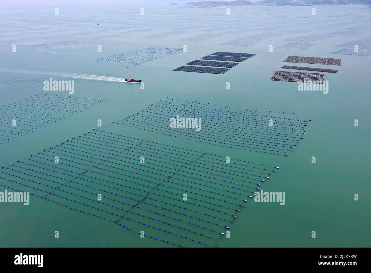 FUQING, CHINA - APRIL 23, 2022 - Breeding boats shuttle in the sea ...