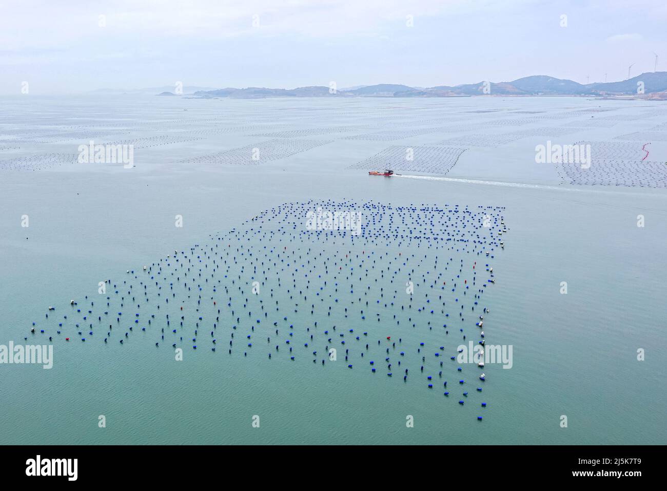 FUQING, CHINA - APRIL 23, 2022 - Breeding boats shuttle in the sea ...