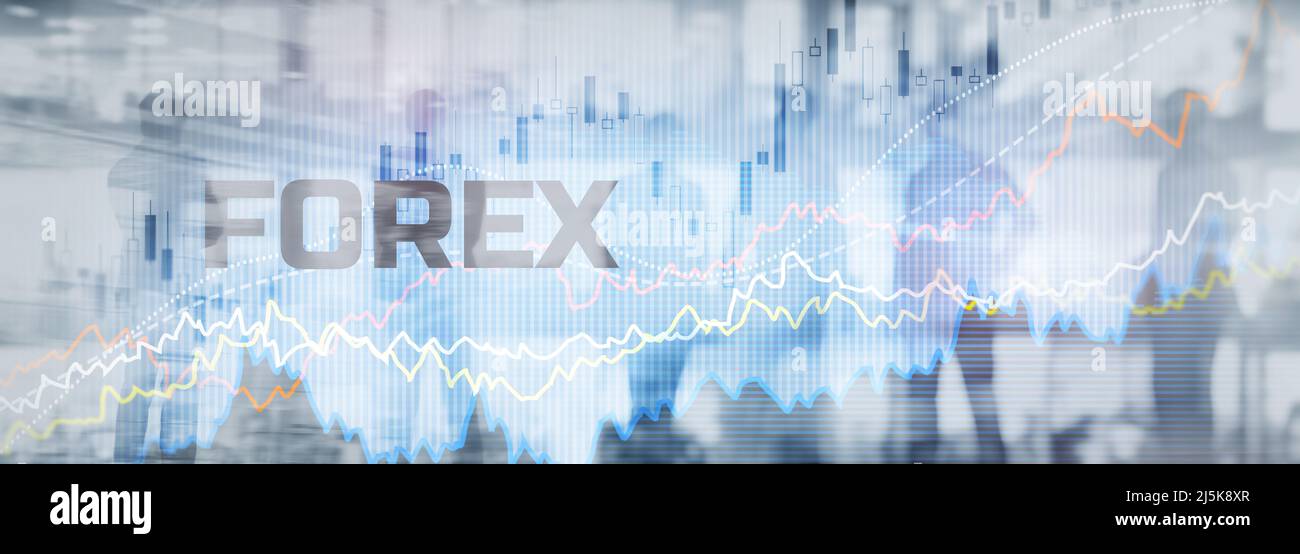 Forex Trading Traders. Financial Investment concept. Website Banner ...