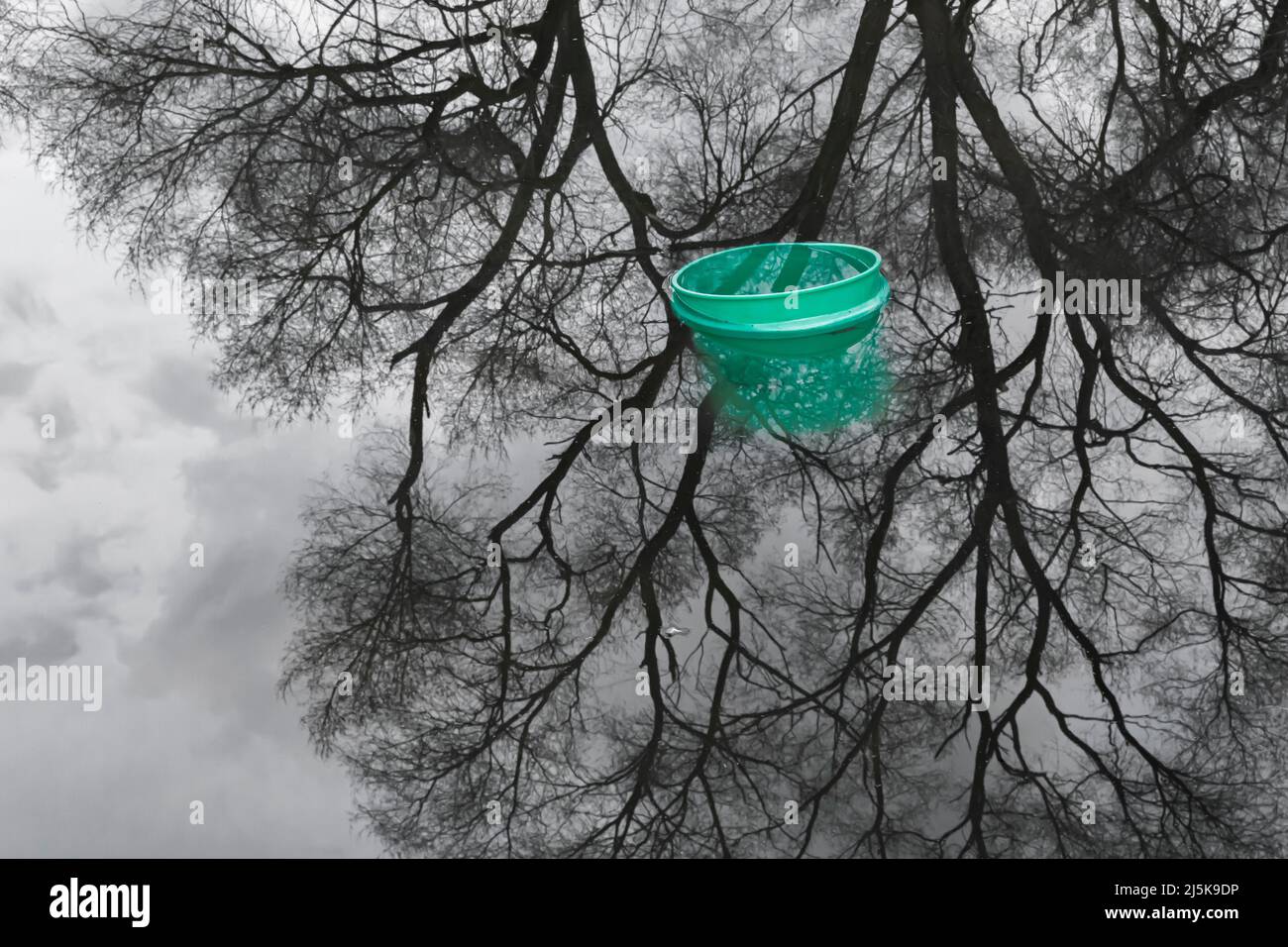 Green bucket floating among tree reflections on a pool surface, Battle ...