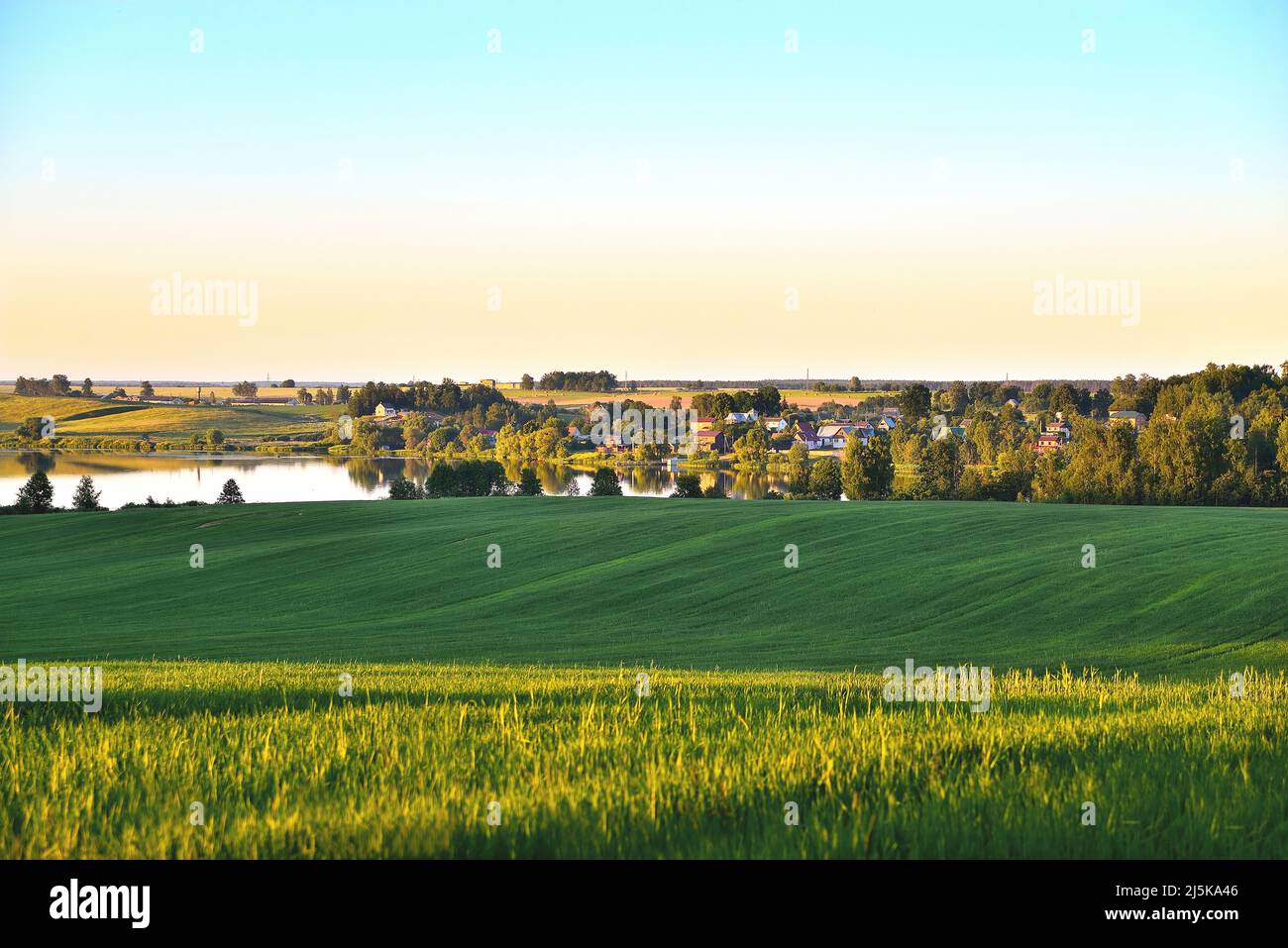 green wheat field, lake and village in the distance, idyllic summer ...