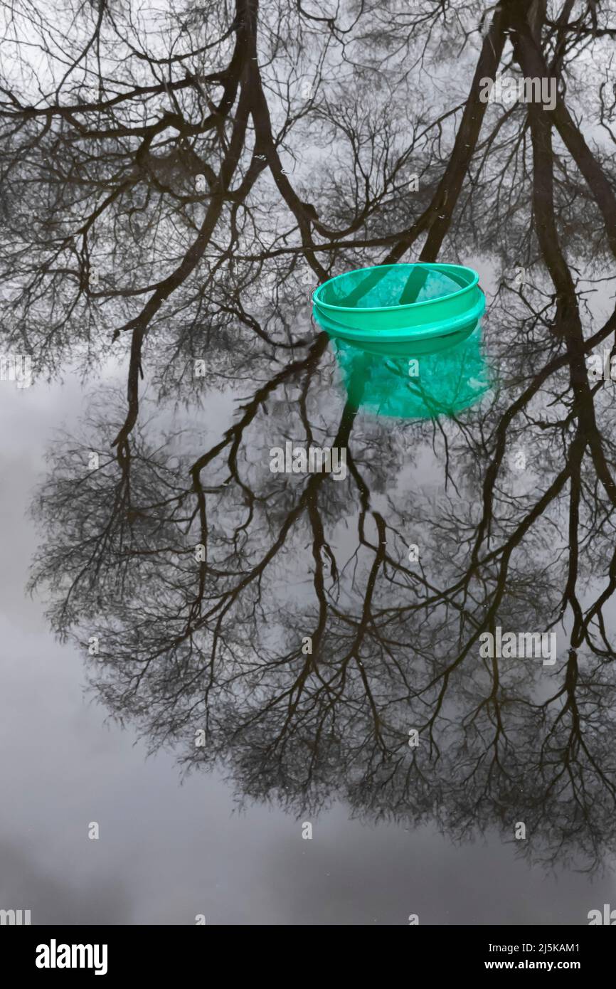 Green bucket floating among tree reflections on a pool surface, Battle ...