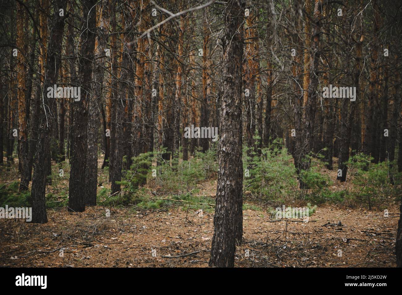 Clean ecology hi-res stock photography and images - Alamy