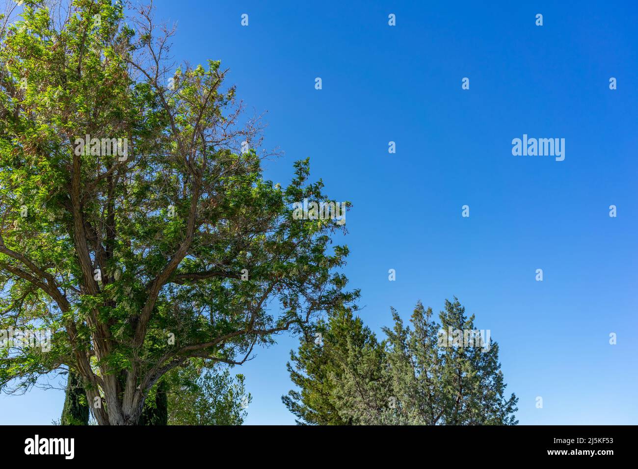 Daylight and sky environment hi-res stock photography and images - Alamy