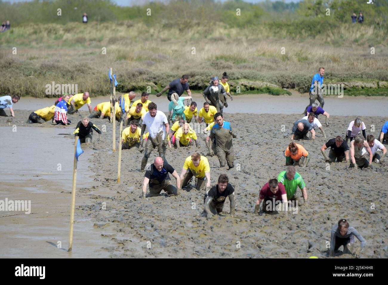 Maldon Essex UK, UK. 24th Apr, 2022. The Maldon Mud race returns to ...
