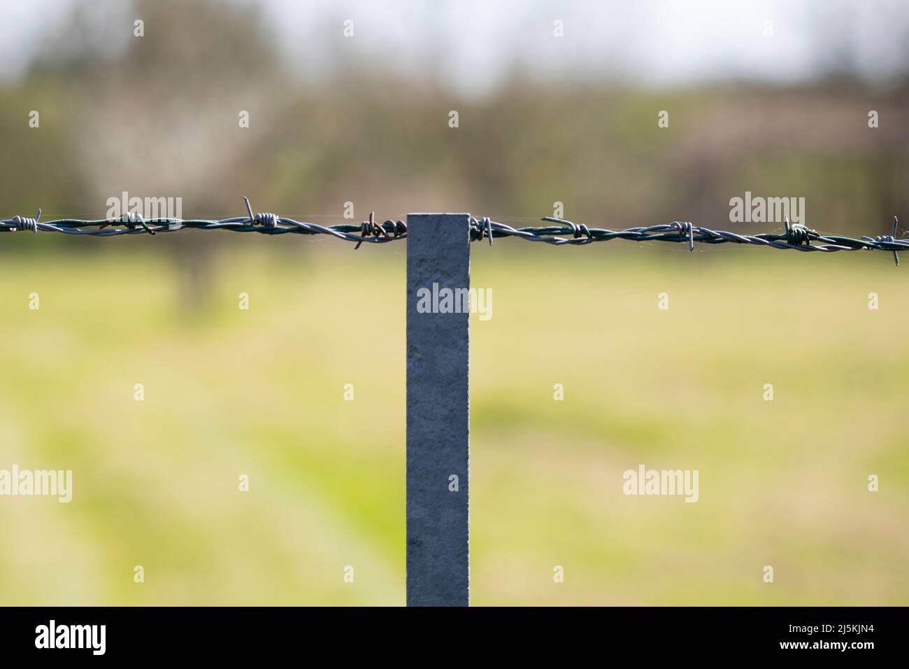barbed wire fence in the garden Stock Photo - Alamy