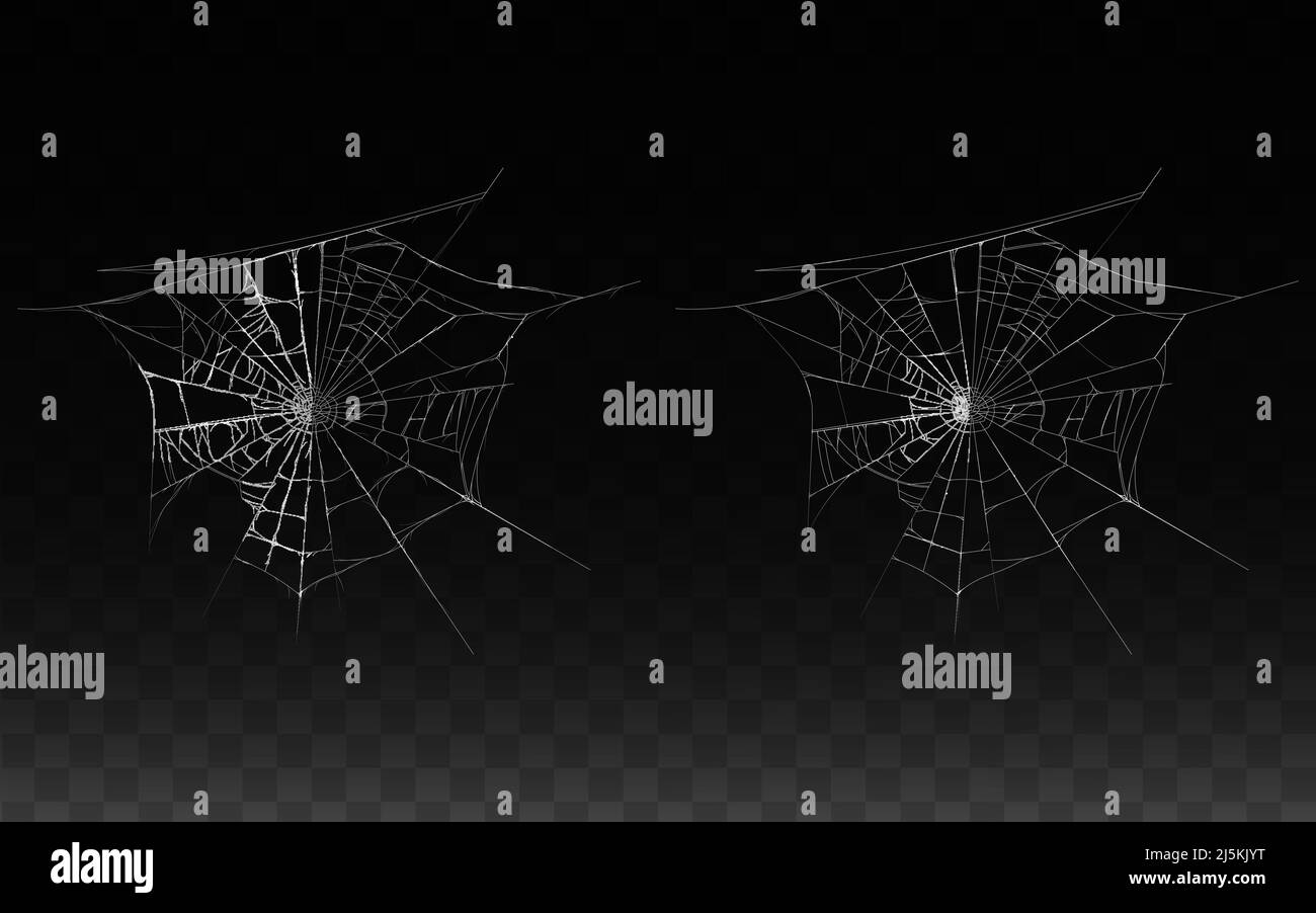 Vector collection of realistic cobweb, spider web isolated on dark ...