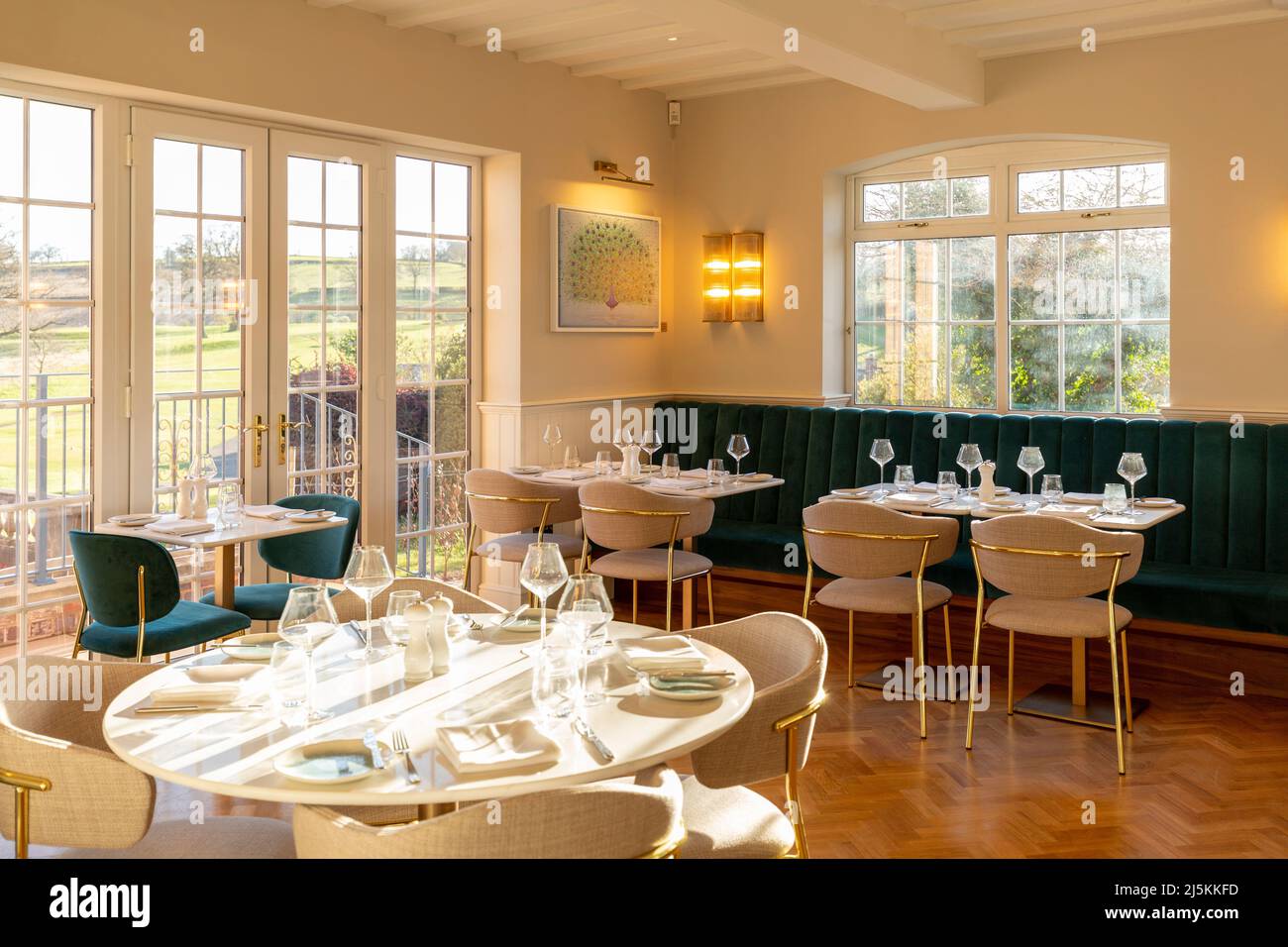 Fine Dining Room Chairs High Definition Pics