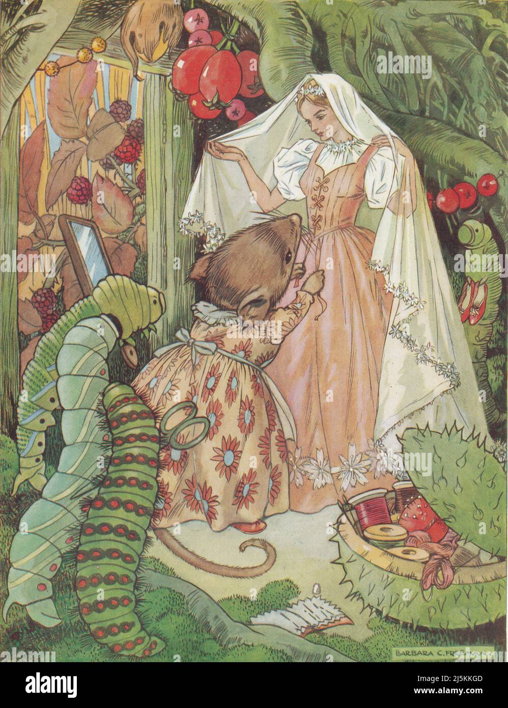 Vintage illustration from Stories from Hans Andersen - Thumbkin Stock ...