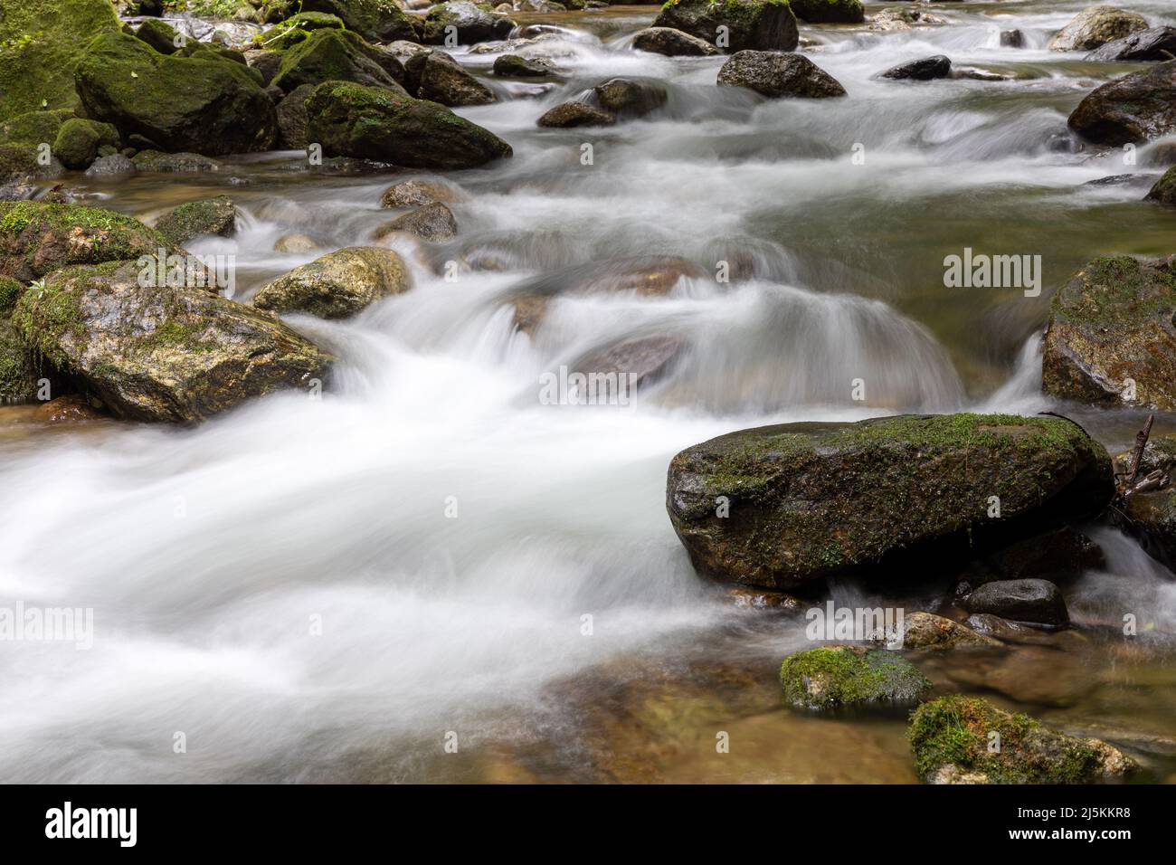 Tranquil river with flowing water amidst moss-covered rocks under dense ...