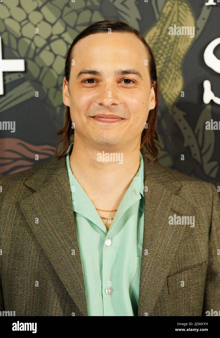 Frank Dillane attending the special screening of The Essex Serpent at ...